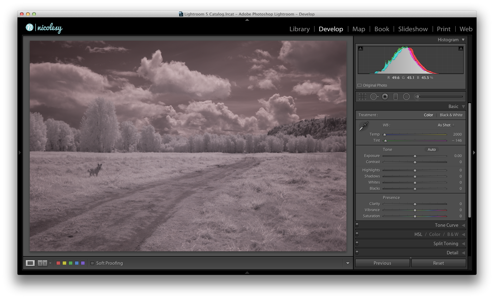 Processing an Infrared Image using Lightroom and Photoshop - Photofocus