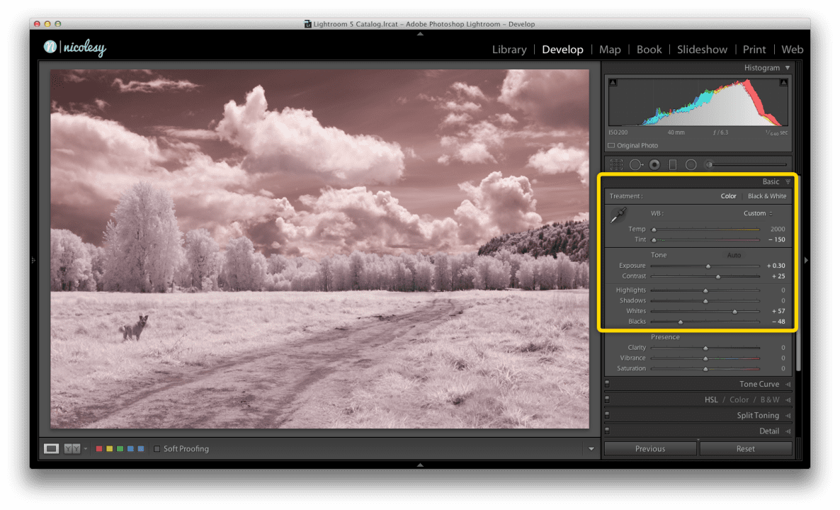 Processing an Infrared Image using Lightroom and Photoshop - Photofocus