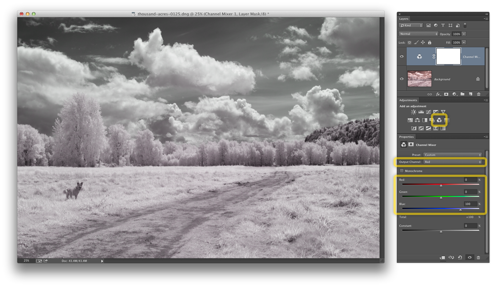 Processing an Infrared Image using Lightroom and Photoshop - Photofocus